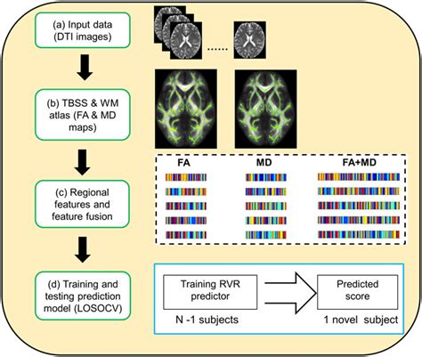 Schematic Overview Of The Prediction Framework Dti Diffusion Tensor Download Scientific