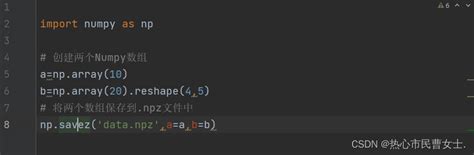 关于一些文件格式的问题（npz、npy、pb）npy类型的文件 Csdn博客