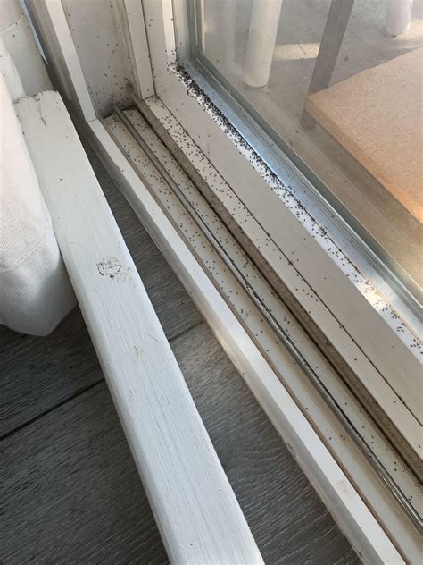 How Do I Get Rid Of The Fillet Lines On This Plug New To Sw R Solidworks