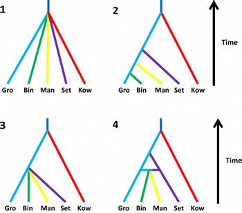Introduction Scenarios Tested Using Approximate Bayesian Computation Download Scientific