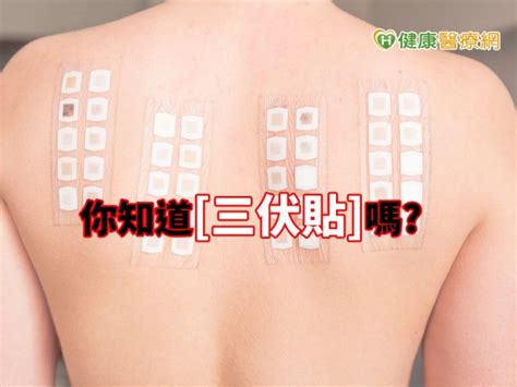 中醫三伏貼增抵抗力 減緩肺部過敏性疾病