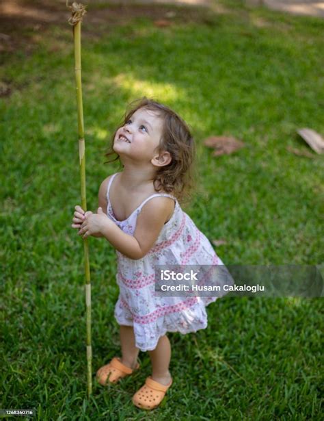 잔디위에서 대나무로 노는 귀여운 어린 소녀의 모습 바로 위에 있습니다 2 3 살에 대한 스톡 사진 및 기타 이미지 2 3 살 가정 생활 곱슬 머리 Istock