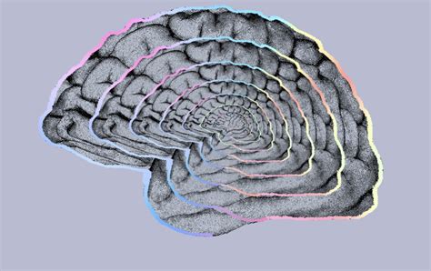 Neuralink Posts More Jobs Based In Austin Texas