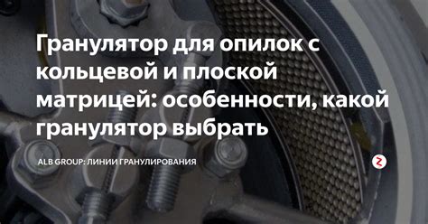 Гранулятор для опилок с кольцевой и плоской матрицей: особенности ...