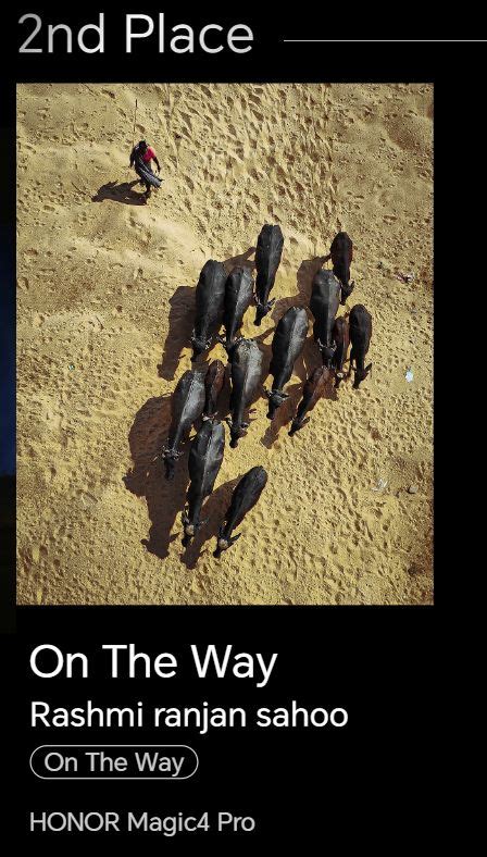 Photographycontest Winner Honormagicmoments Honor Feelingproud