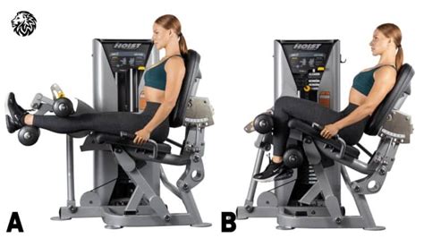 How To Do Seated Hamstring Curls Angry Lion Fitness