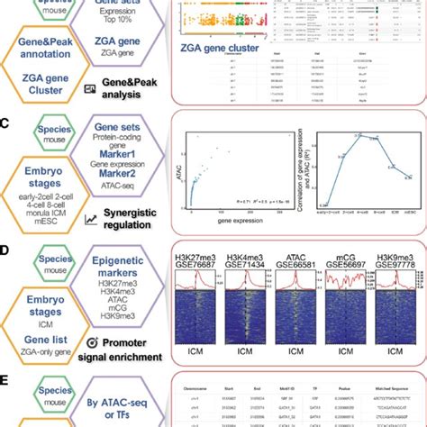 the main functions of dbembryo a multi omics visualization