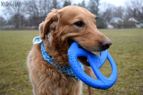 The Best Frisbees For Dogs According To Charlie