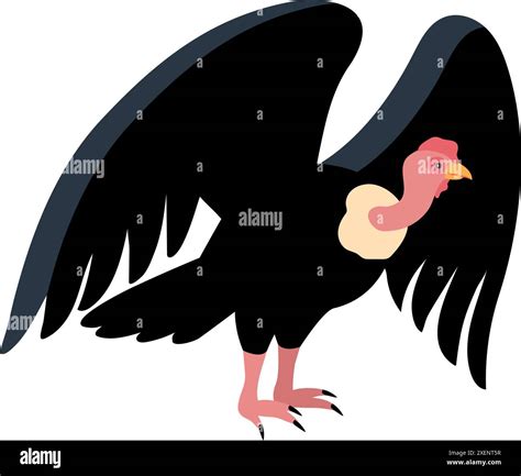 Cartoon Andean Condor Stock Vector Images Alamy