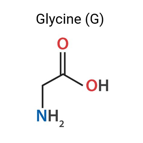Amino Acids Types Functions Structure And Essential Guide Assay Genie