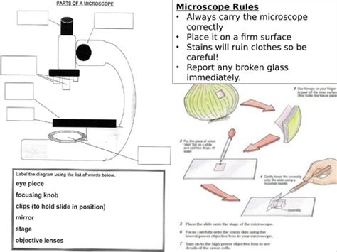 Ks3 Microscopes Teaching Resources