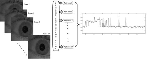 The Proposed Video Based Spatio Temporal Representation Scheme Iv Download Scientific Diagram