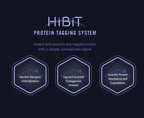 Hibit Technology Brings The Power Of Bioluminescence To Protein Analysis It Simplifies Protein