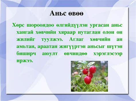 эх дээр ажиллах Bud Odp