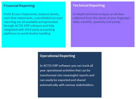 Technical Operational And Financial Reporting Functionality Actis Erp