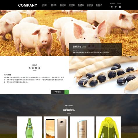 Rwd 網頁設計、網站版型