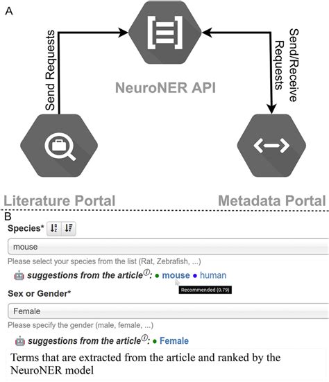 A Api Interactions Between Neuromorphoorg Functionalities When A