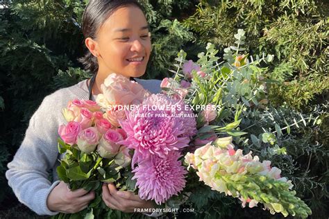 Residential Tree Hedging And Trimming Services In Sydneys North West With Modern Outdoors