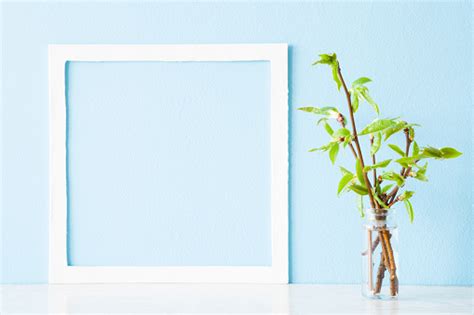 파스텔 밝은 파란색 벽에 나무 선반에 유리 꽃병에 신선한 녹색 잎의 작은 나 뭇 가지 봄 시간 흰색 프레임에 긍정적 인 영감 텍스트 따옴표 또는 격언을 위한 빈 장소 전면