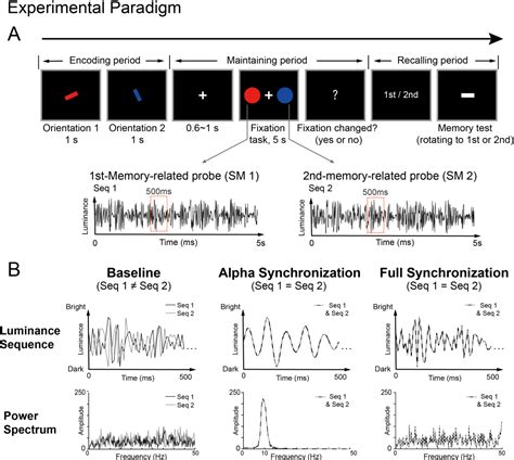 Figure 1 From Temporally Coherent Perturbation Of Neural Dynamics