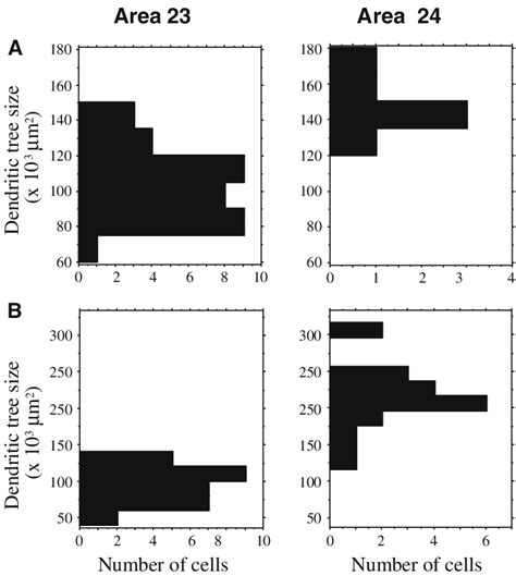 Frequency Histograms Of The Size Of The Basal Dendritic Trees Of Layer
