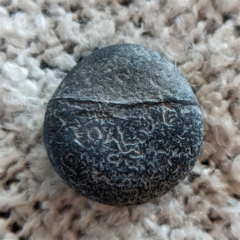 I Just Found This In My Hike Its Amazing I Dont Want To Clean Until I Know How To It Has