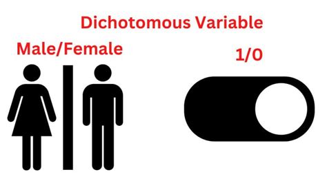 Dichotomous Variable Definition Types And Examples