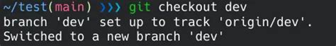 How To Clone All Branches In Git Delft Stack