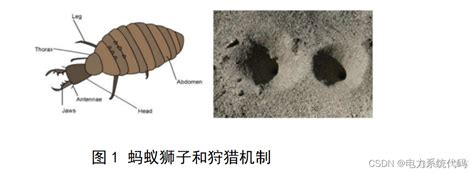 多目标蚂蚁狮子优化算法（matlab代码实现）蚂蚁狮子优化算法（完整matlab代码实现）51cto博客多目标优化蚁群算法的matlab