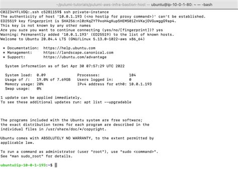 pulumi aws example creating vpc subnets ec2 bastion host