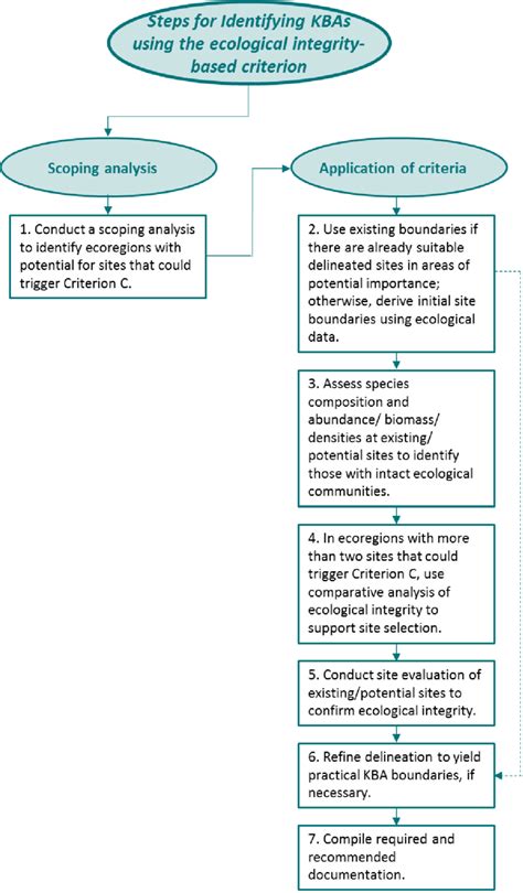 3 Overview Of Possible Workflow For Applying Criterion C Download