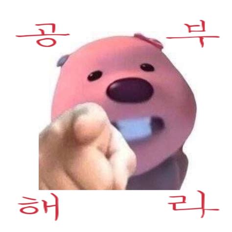 루피 공부 짤 공부 루피