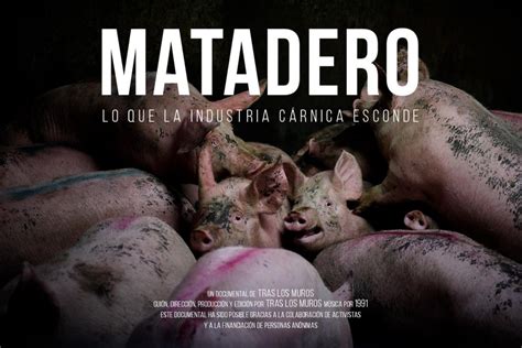 Matadero Así Es La Realidad De Los Mataderos