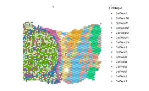 Spatial Expansion • Spatopic