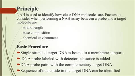 Nucleic Acid Hybridization Nucleic Acidpptx