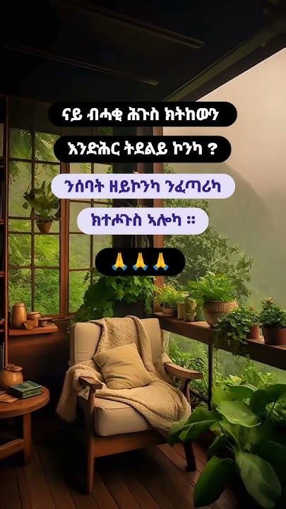 eritreancomedy eritreanews eritrea eritreanmusic habesha eritrean eritreanmovie tigra