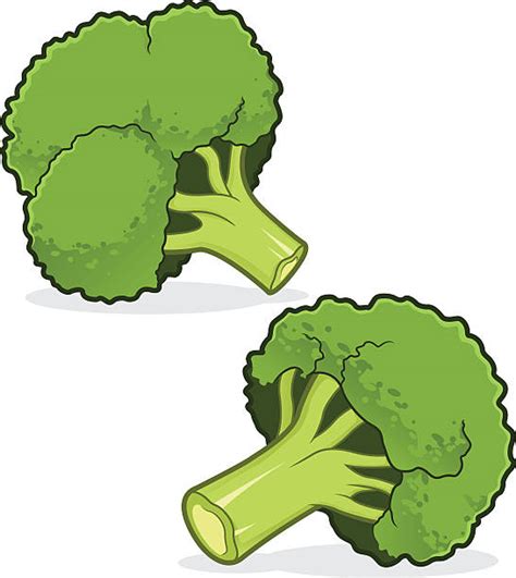 Broccoli Illustrations Royalty Free Vector Graphics And Clip Art Istock