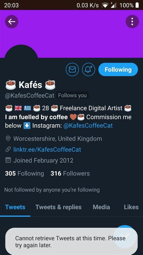 Cannot Retrieve Tweets At This Time Showing Profile As Old Account R