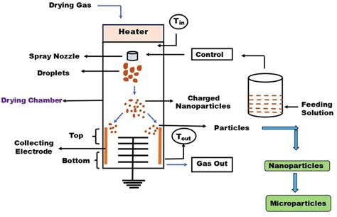 4 Schematic Diagram Of The Spray Drying Process Download Scientific