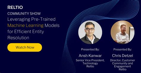 Leveraging Pre Trained Machine Learning Models For Efficient Entity