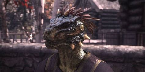 Which Real World Cultures Inspired The Elder Scrolls Fictional Races
