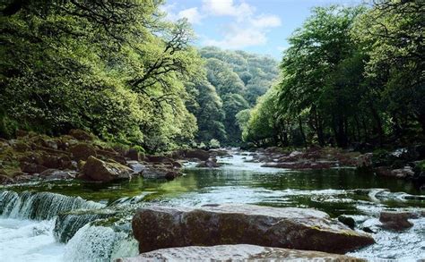 Core Process Psychotherapy Rachael Thomas