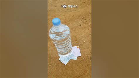 최후정 투망달인양손모아치기한국투망라이프 회장님투망달인바다투망낙산해변양양남대천만능투망castnet Playpescaവല എറിയുന്നുإلقاء شبكة