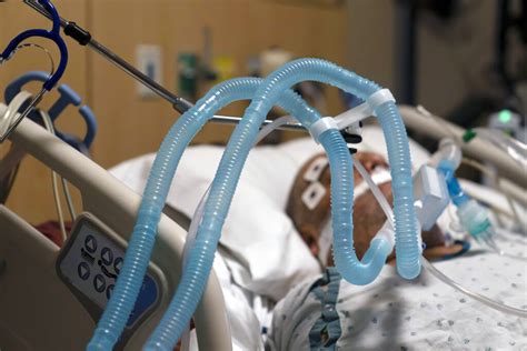 California Covid 19 Update New Death Record Cases Continue To Surge