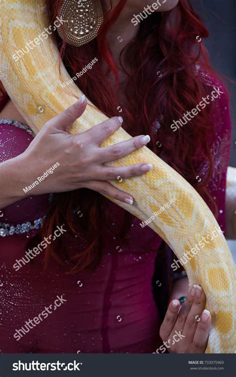 Belly Dancer Handling Albino Burmese Python Stock Photo Shutterstock