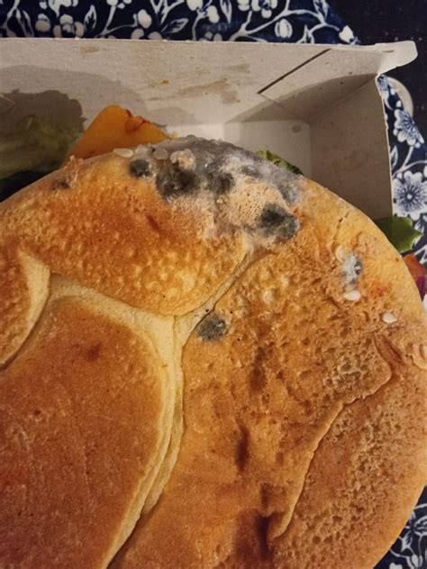 Revolting Pics Show Mouldy Mcdonalds Burger That Customer Had To Bin