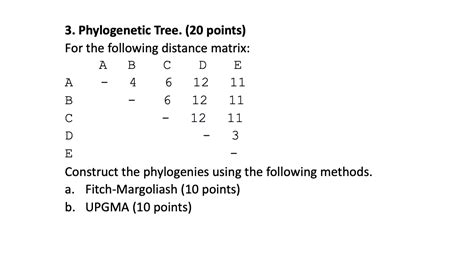 Solved 3 Phylogenetic Tree 20 Points For The Following Chegg