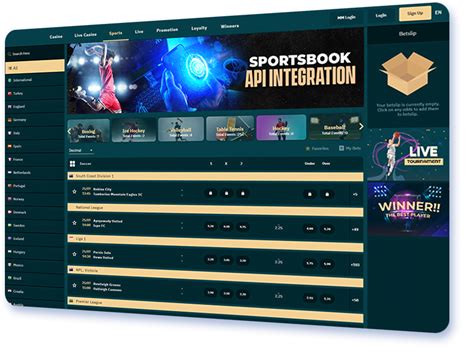 Sportsbook Api Integration Solution Gammastack