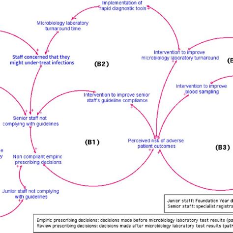 Causal Loop Diagram Of Doctors Decision Making Processes Download