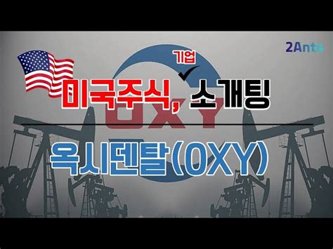 주식소개팅 Mr버핏께 얘기 많이 들었습니다 옥시덴탈 페트롤리움oxy Us
